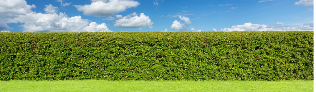 Hedging your bets – the new way to drive transmission investment ...